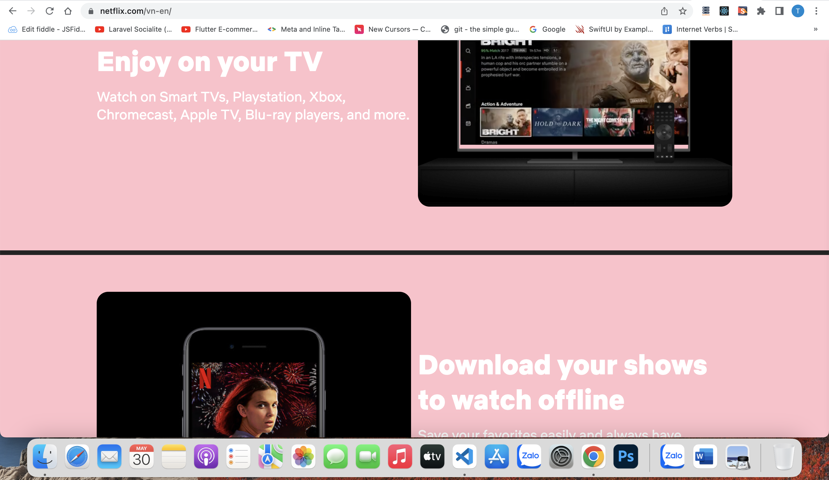 Netflix-Pink color | CoolStyles.org